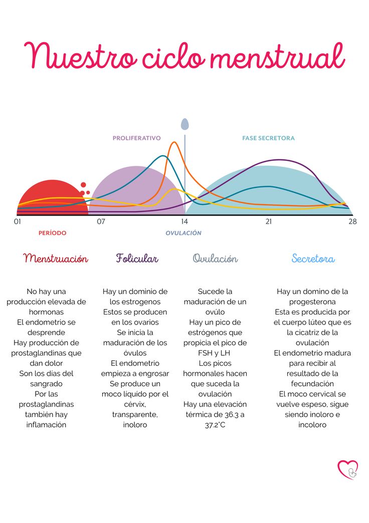 1.3. Fisiología Hormonal Femenina y Ciclo Menstrual: - L&M CLINIC EXPRESS